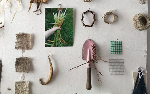 ACE funding - Alice Fox