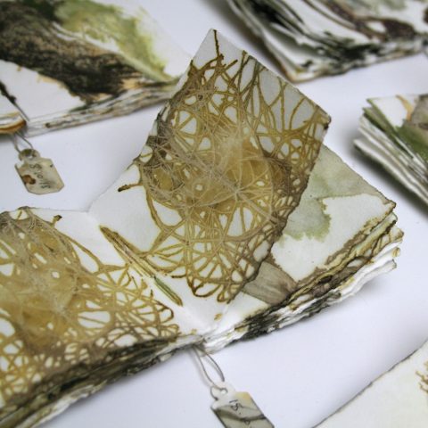 Alice Fox - Alice Fox