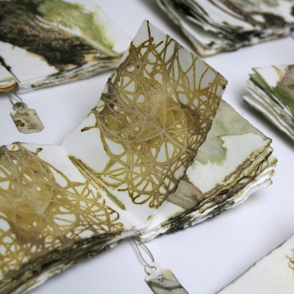 Alice Fox - Alice Fox