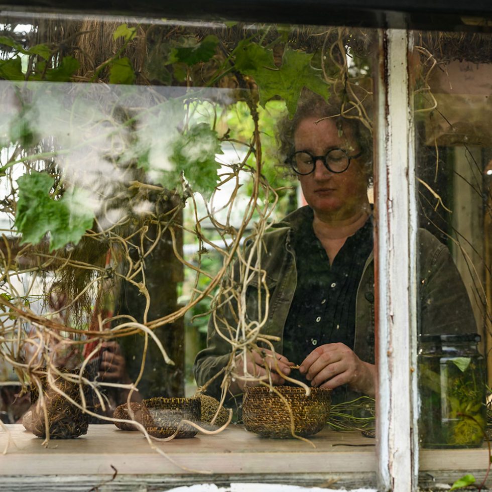 Alice Fox - Alice Fox