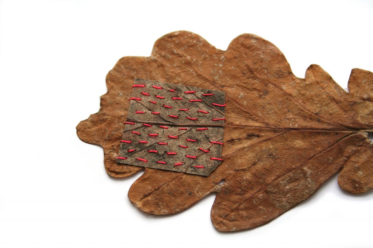 Leaf Stitching - Alice Fox