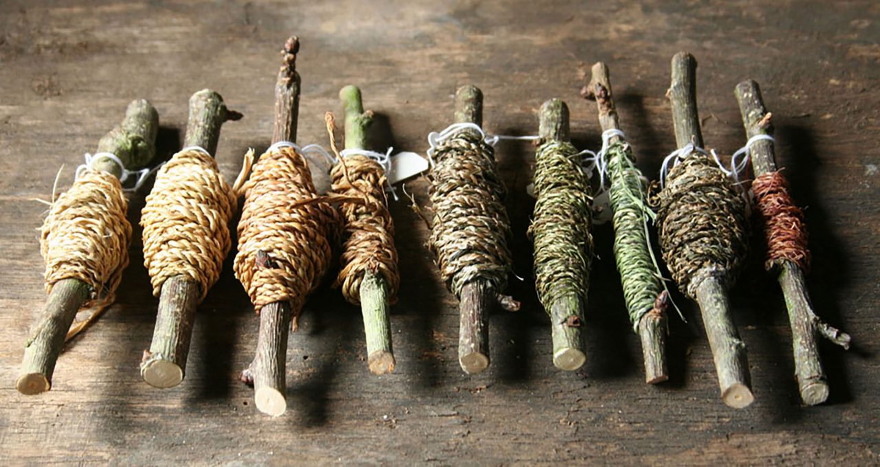 Plot 105 - Alice Fox