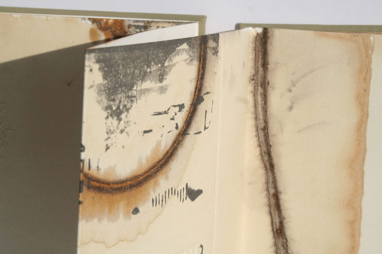 Tide Marks - Alice Fox