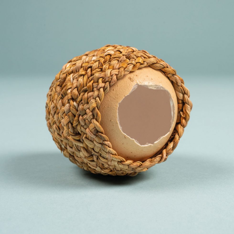 Alice Fox - Alice Fox