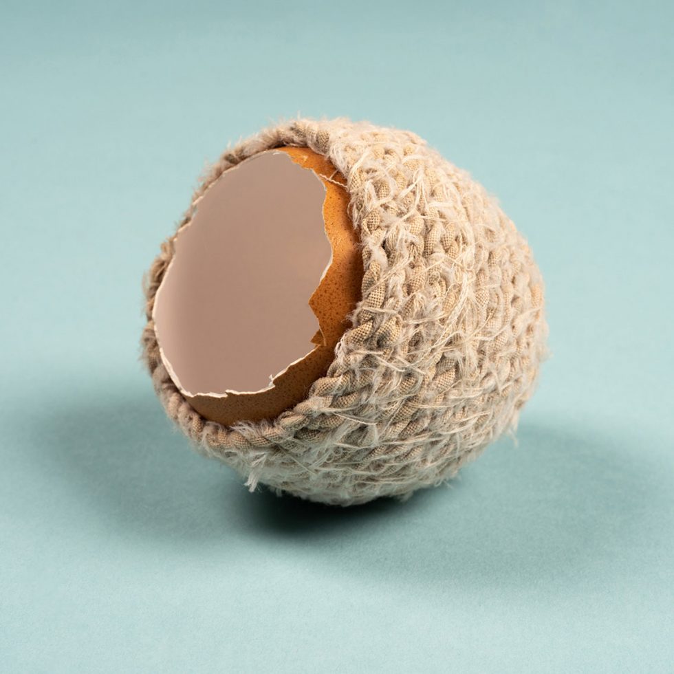 Publications & Press - Alice Fox