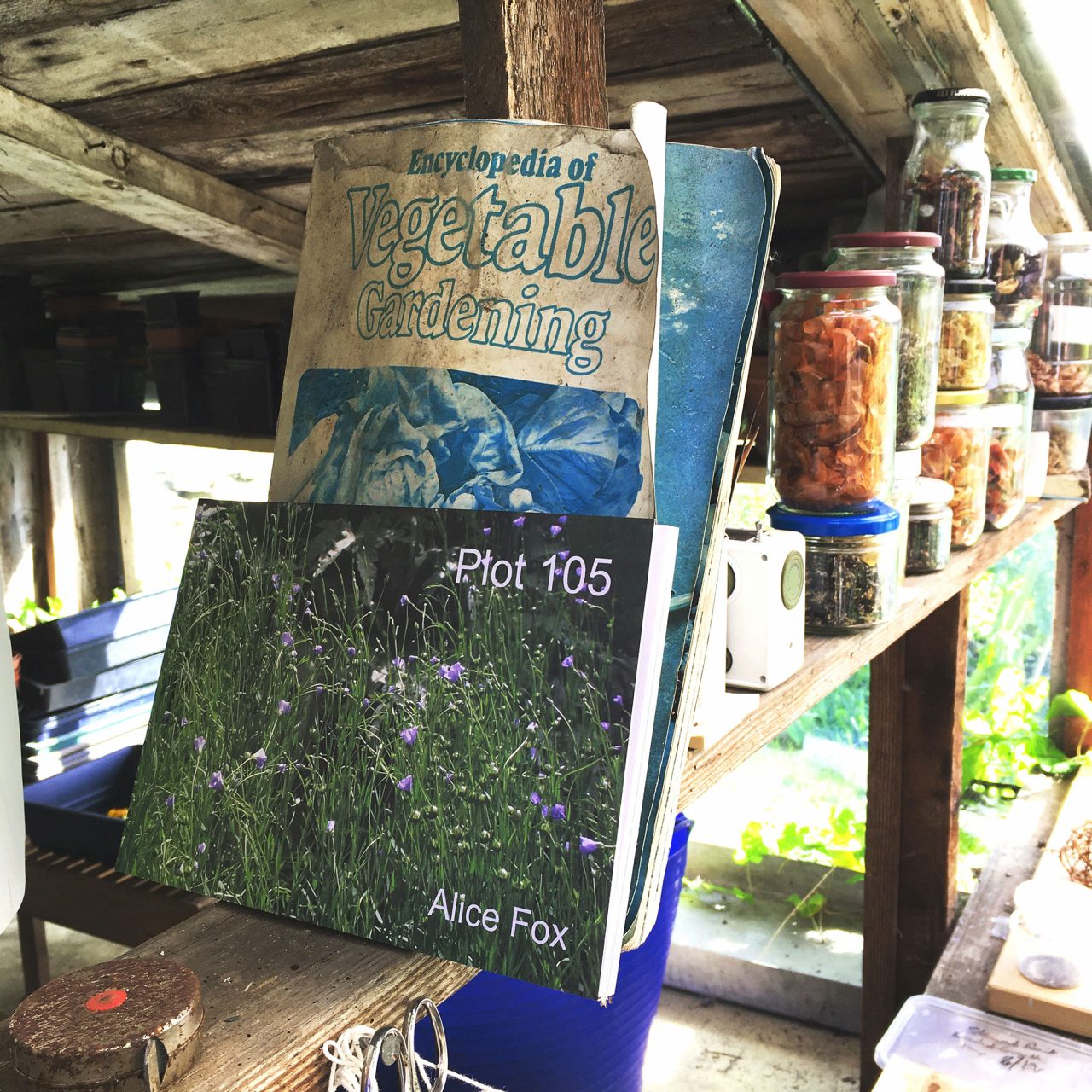 Publications & Press - Alice Fox