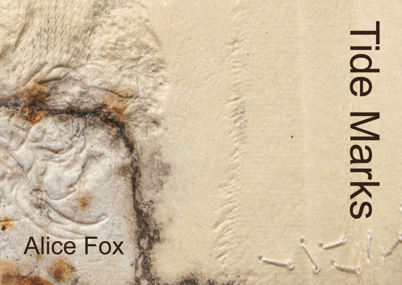 Publications & Press - Alice Fox