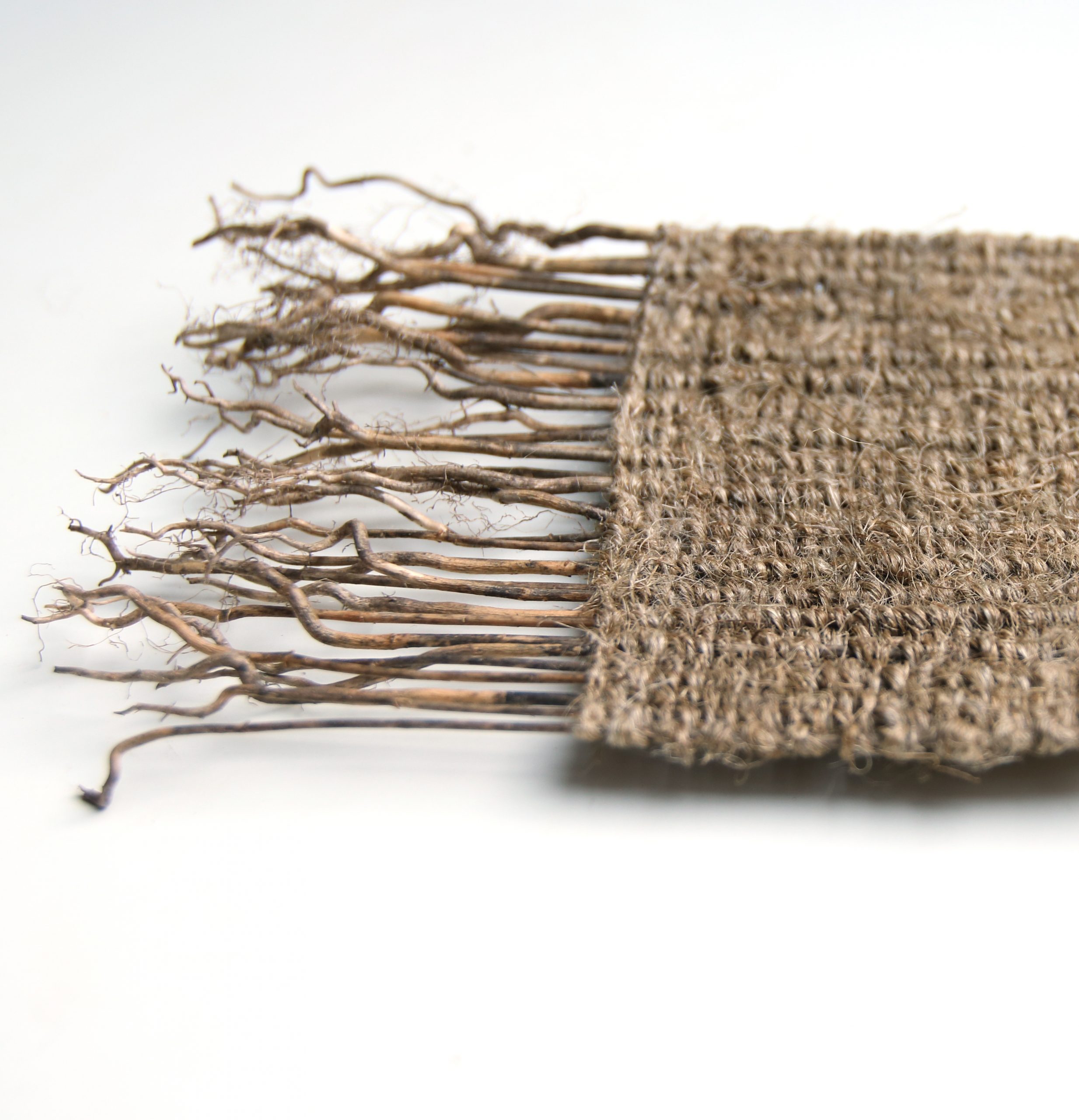 Alice Fox - Alice Fox